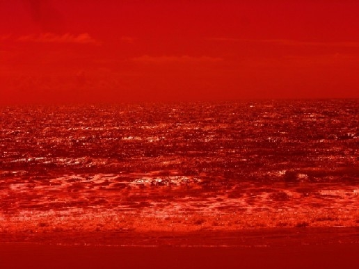 Caida en el mar rojo (Rol)